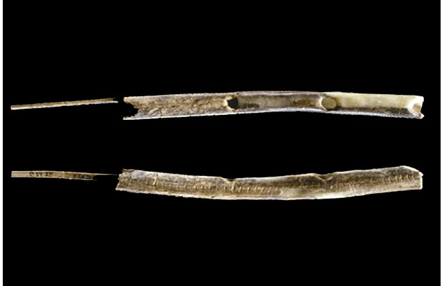 Instrumentet më të vjetra muzikore(Foto) - In For